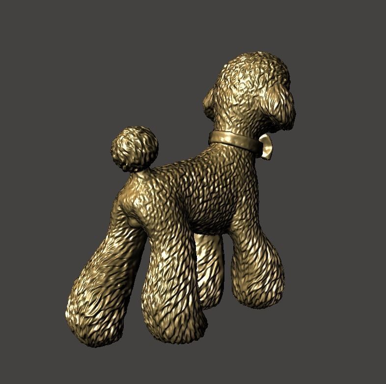 Toy Poodle 2 3D model 3D printable | CGTrader