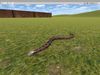 3D model Simple Snake Low-Poly VR / AR / low-poly | CGTrader