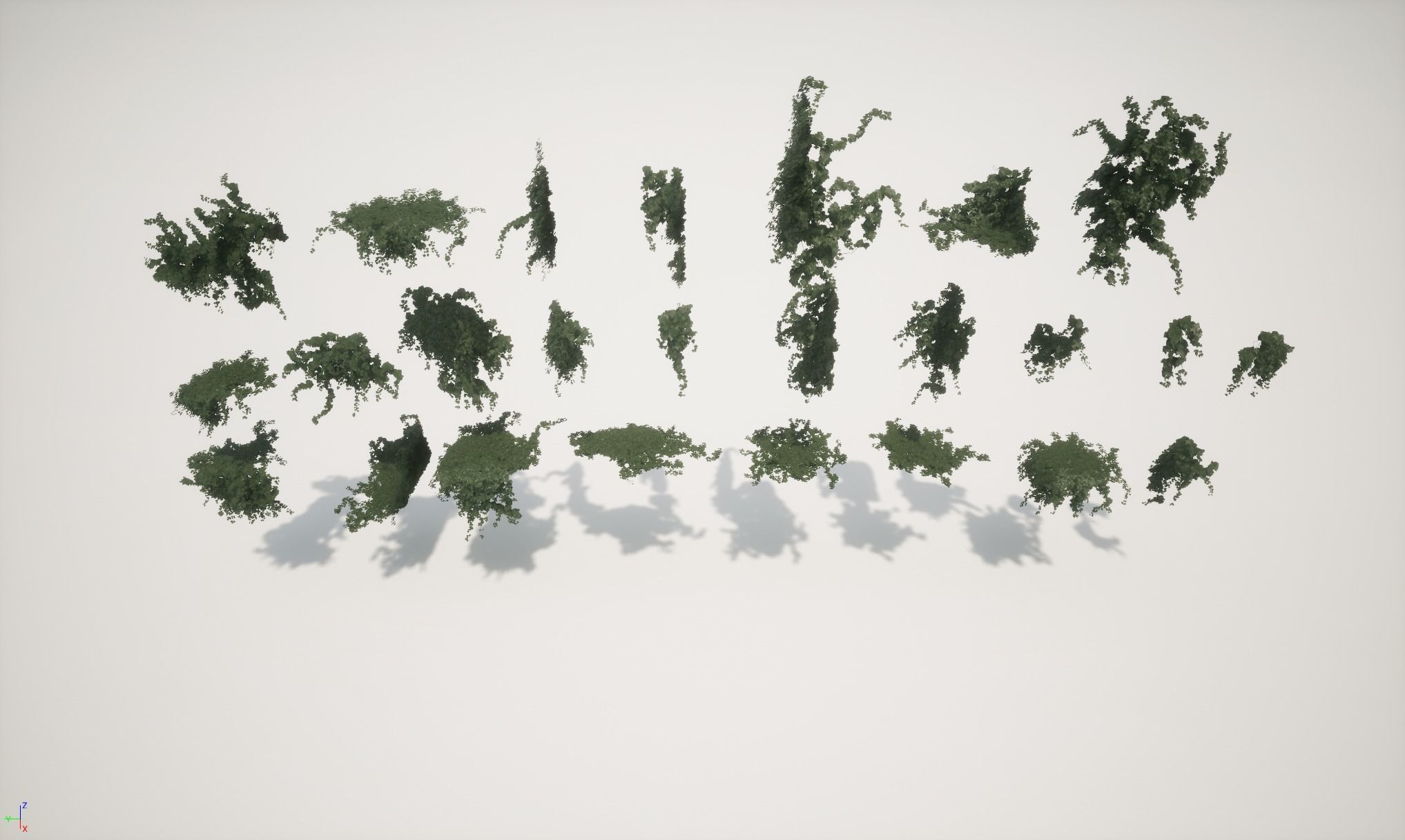 3D model Realistic IVY Plants VR / AR / low-poly | CGTrader