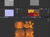 3D model Cocoa fruit VR / AR / low-poly | CGTrader