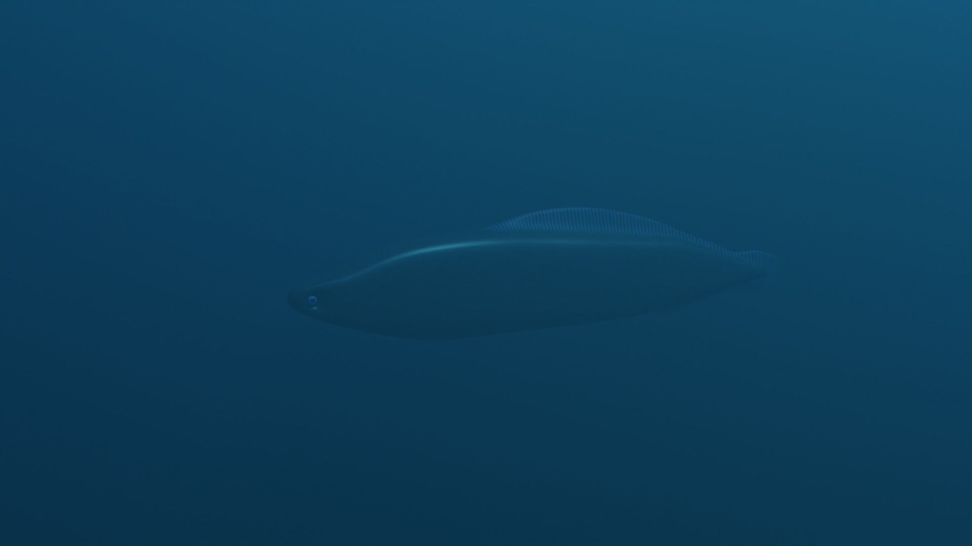 Haikouichthys Extinct Cambrian Fish free VR / AR / low-poly 3D model ...