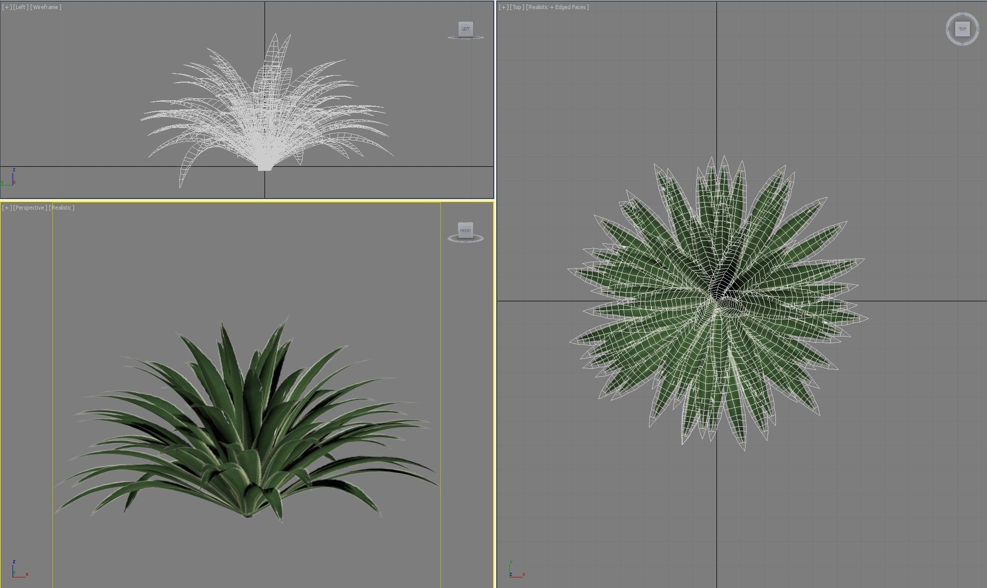 plants for free vol 1 free VR / AR / low-poly 3D model | CGTrader