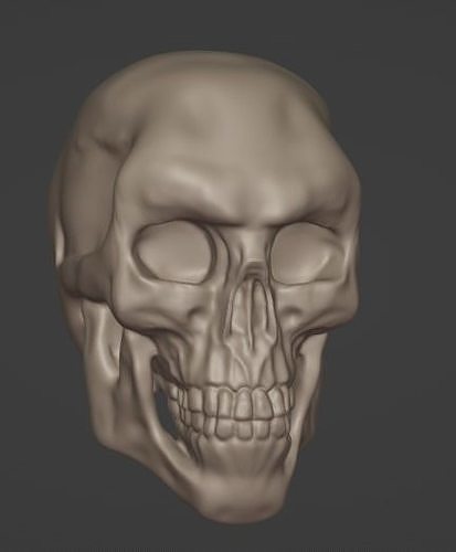 Skeleton - Skull 3D model | CGTrader