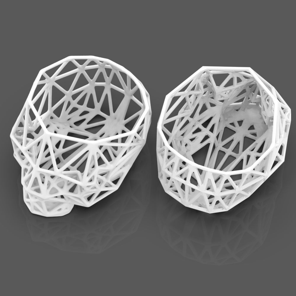 Skull mesh 3D model 3D printable | CGTrader