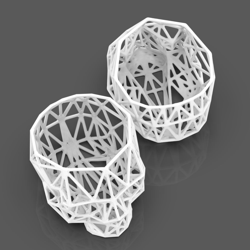 Skull mesh 3D model 3D printable | CGTrader
