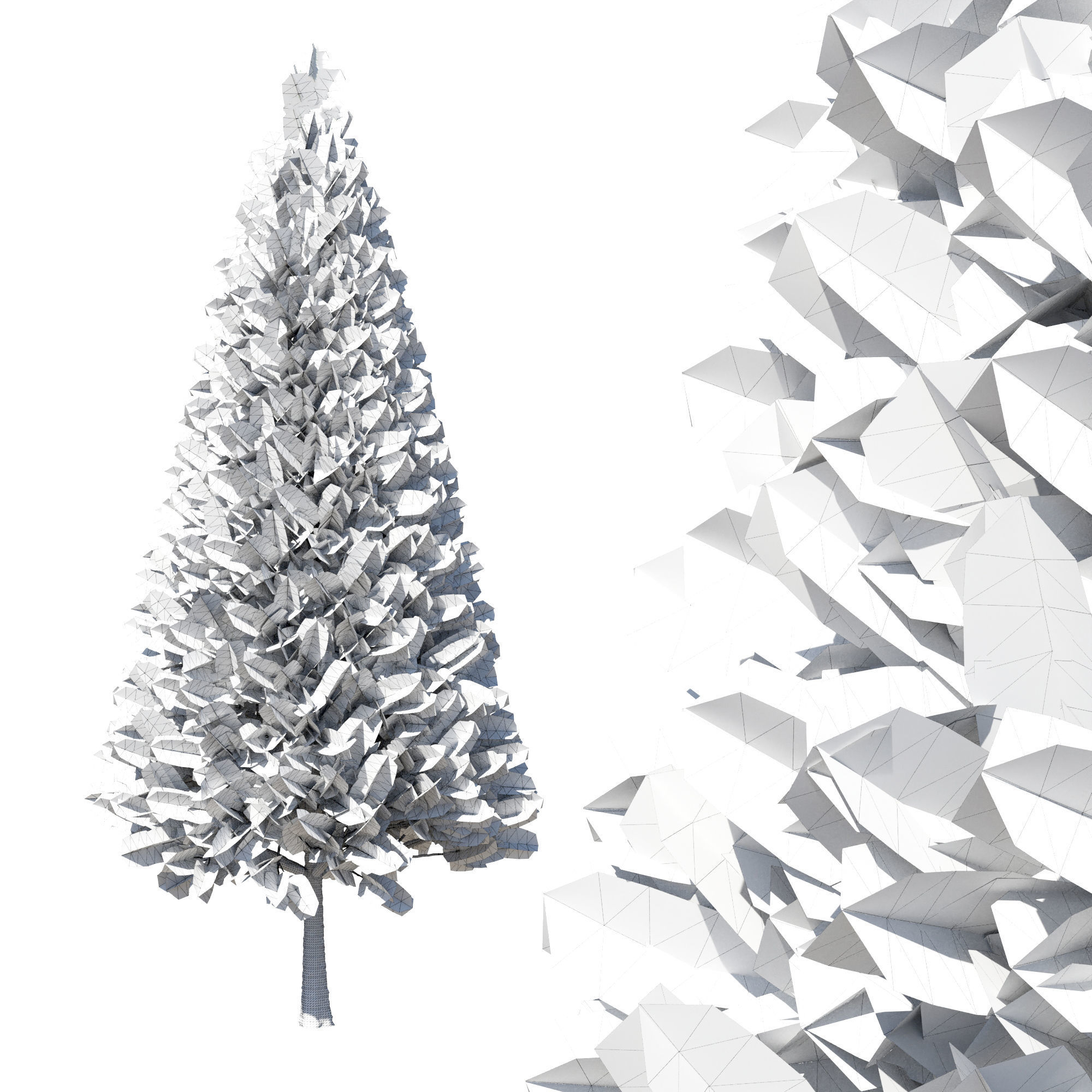 Name Tree Balsam fir 3D model | CGTrader