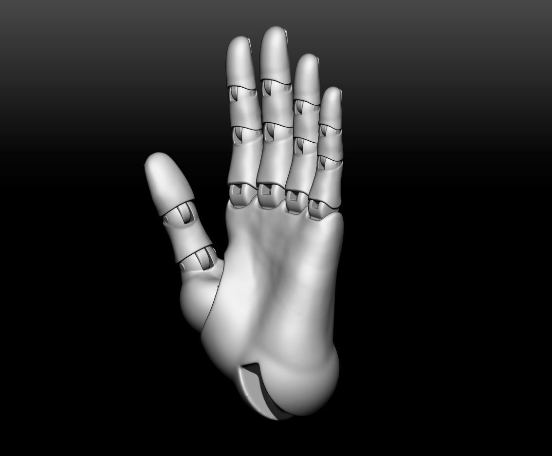 Articulated arms Hand BJD Print STL legs 3D model | CGTrader