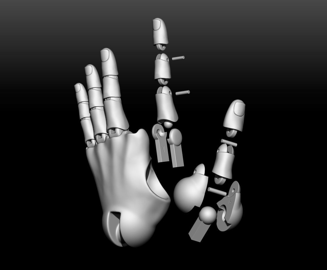 Articulated arms Hand BJD Print STL legs 3D model | CGTrader