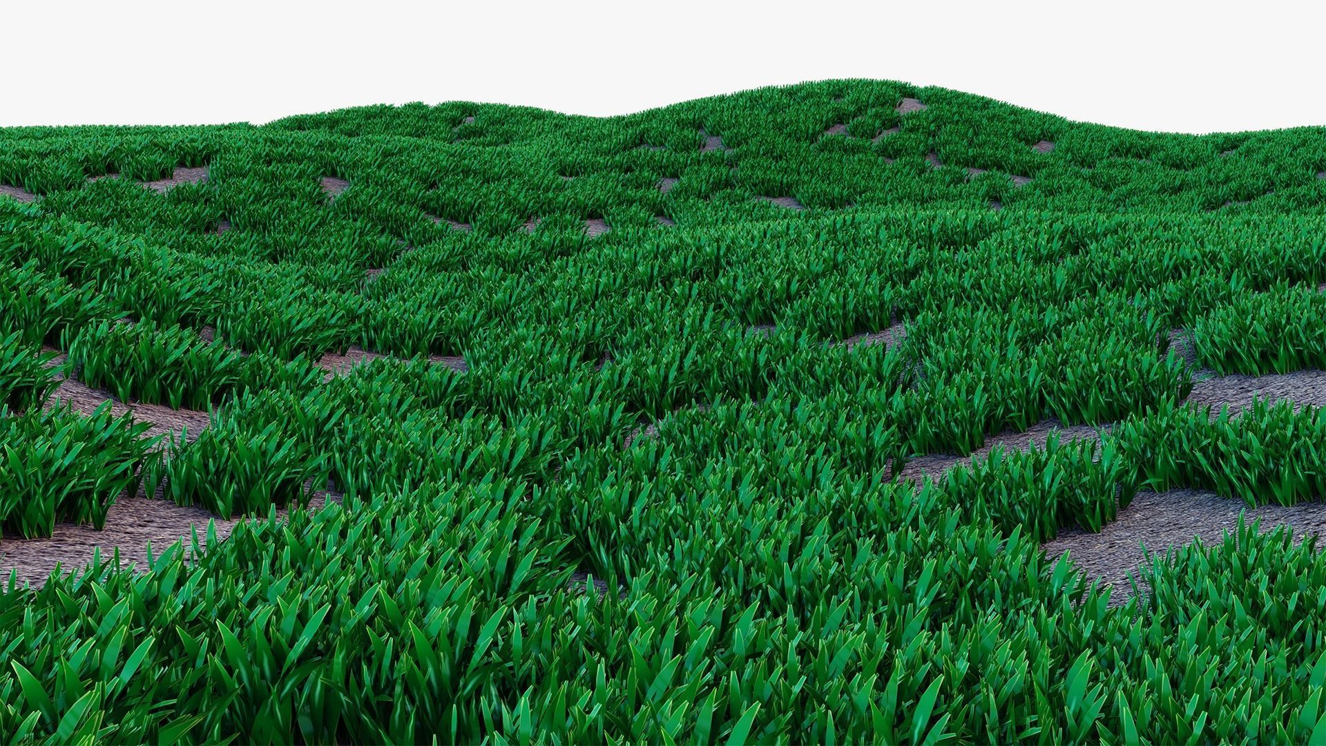 Lawn Grass Realistic 3D 3D model | CGTrader