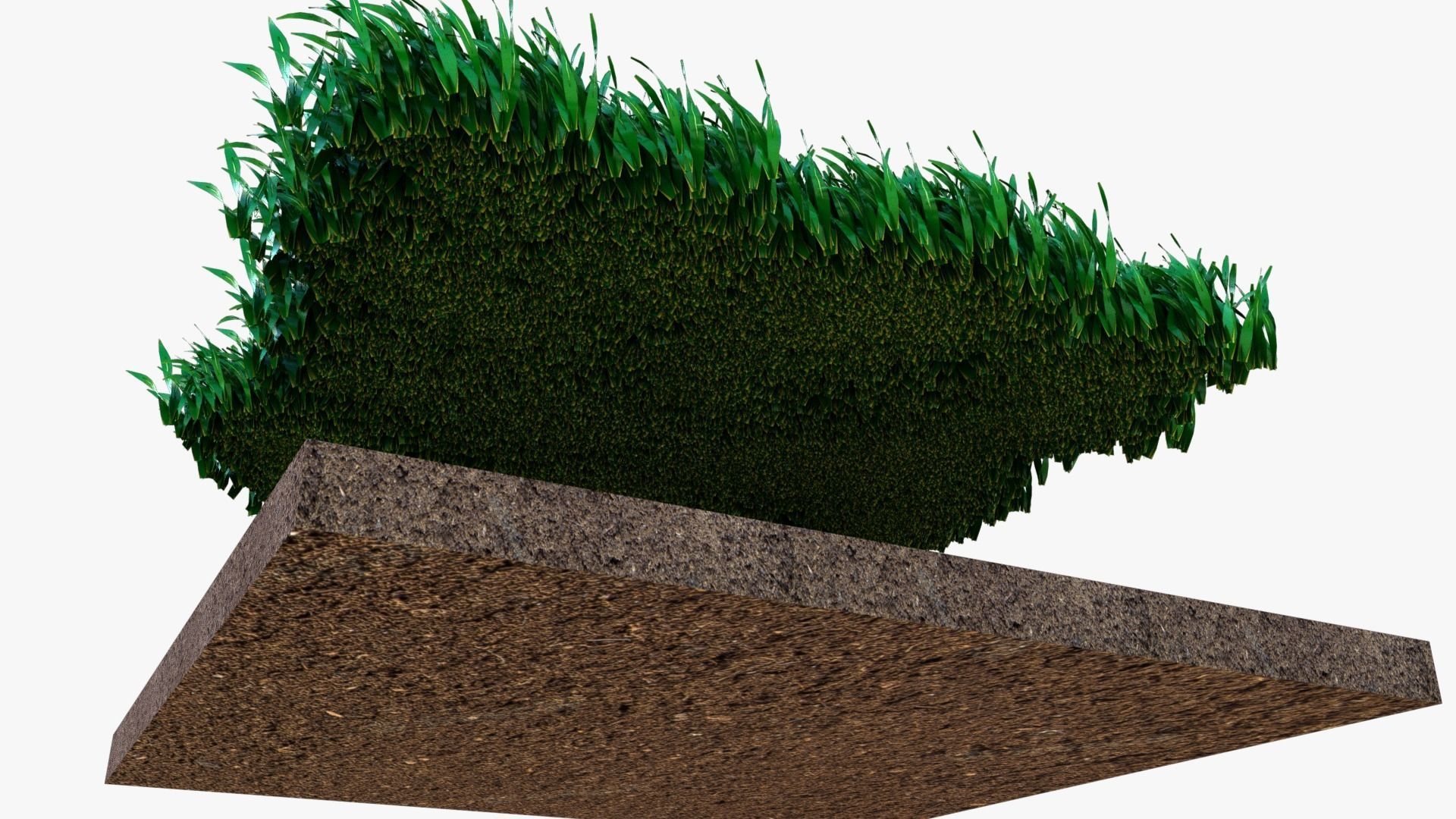 Lawn Grass Realistic 3D 3D model | CGTrader