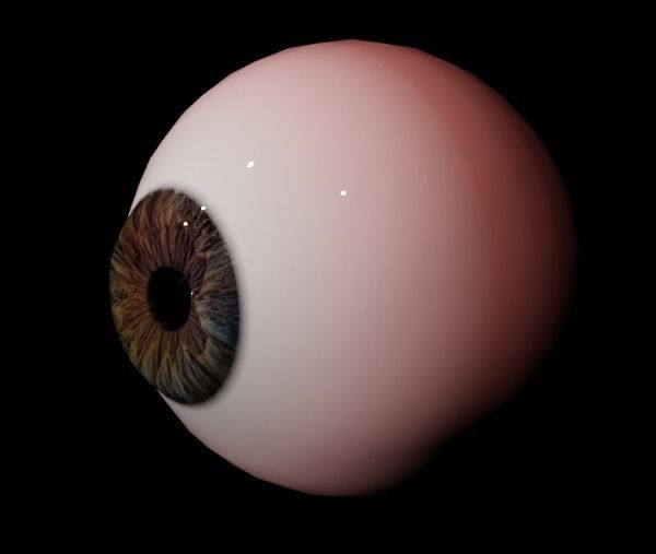 3D model Human Eye VR / AR / low-poly | CGTrader