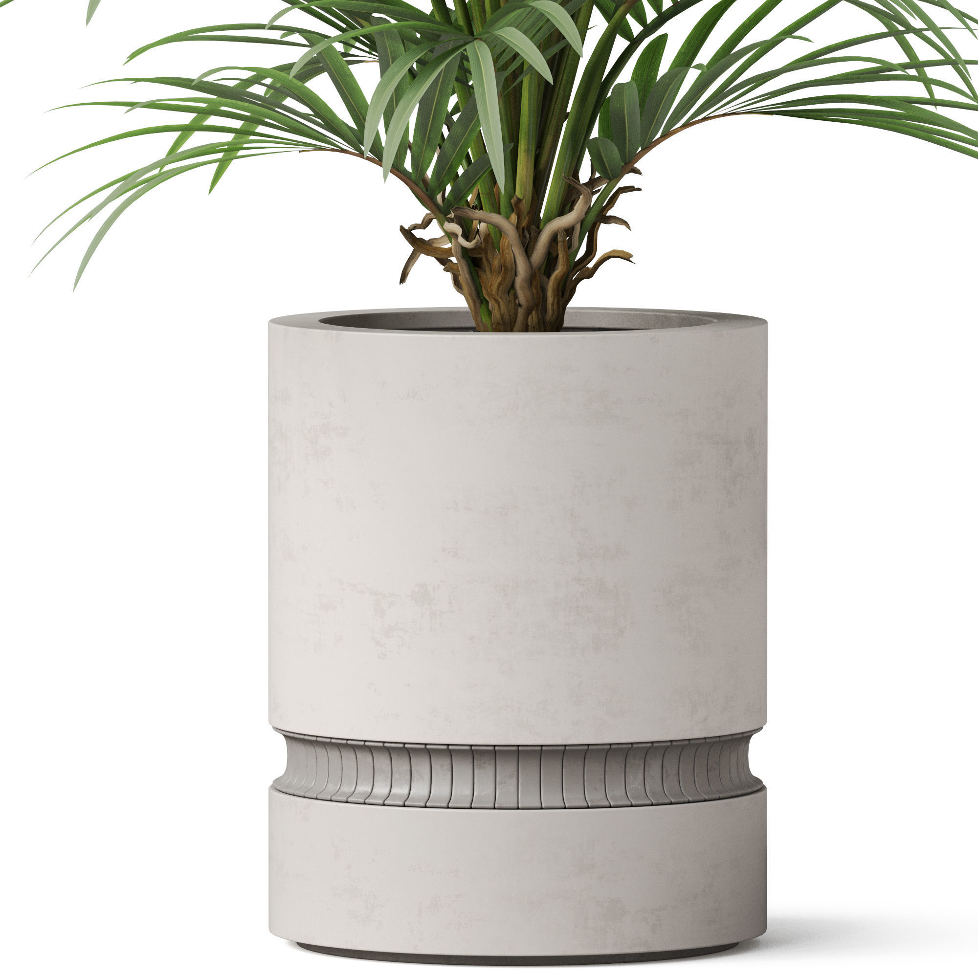 Plants collection 869 3D model | CGTrader