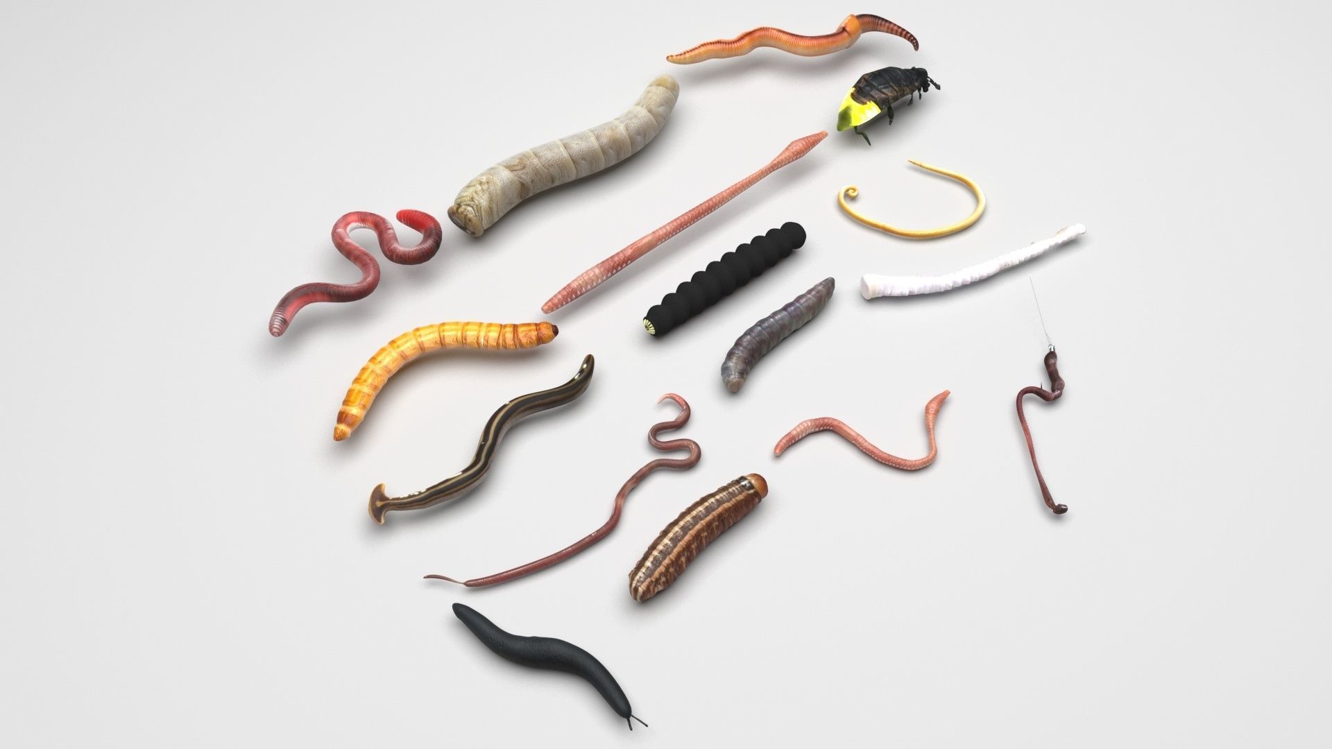 Worms Set 3D model | CGTrader