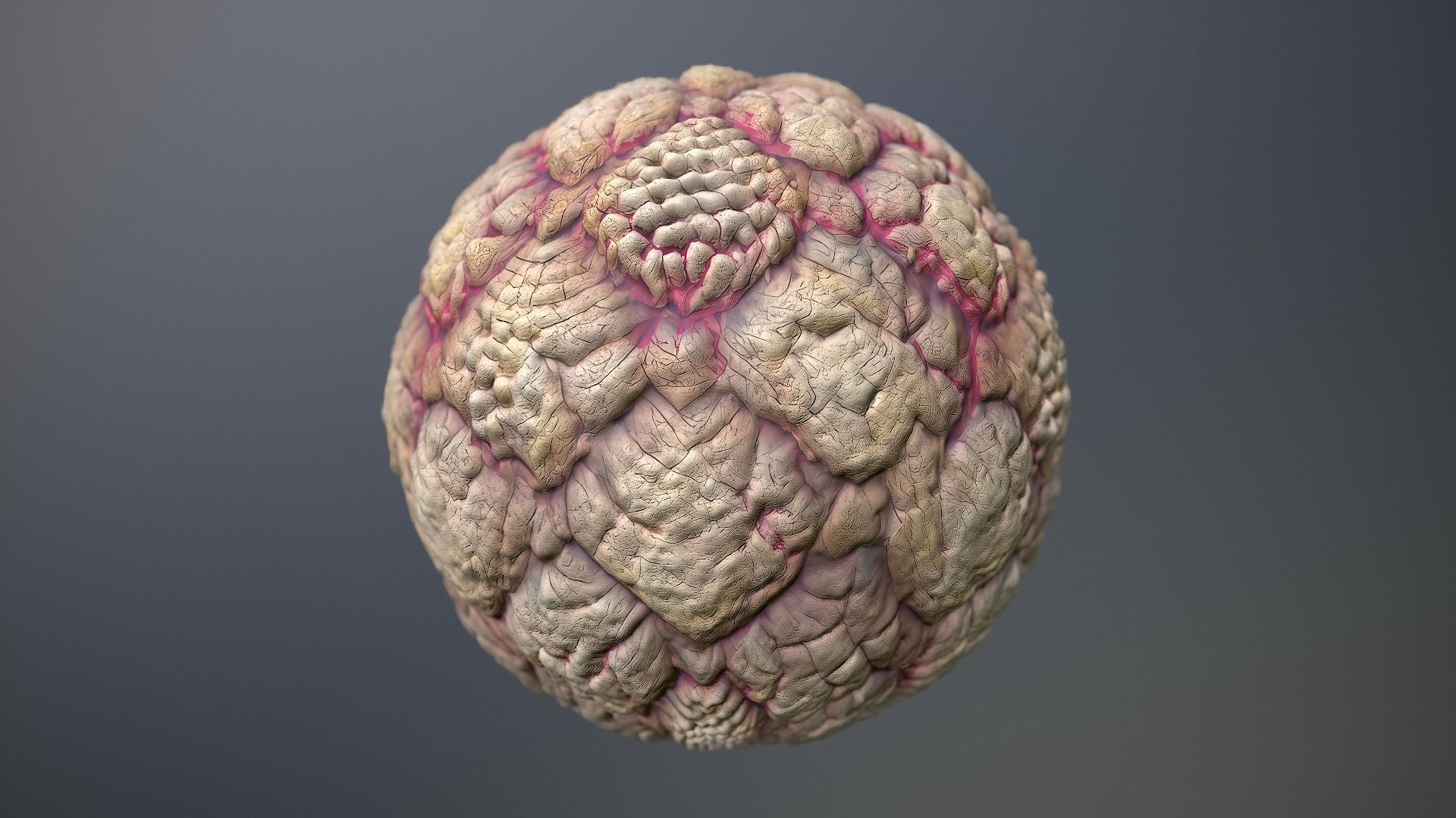 Material Skin Monster 50 Seamless PBR Texture Texture | CGTrader