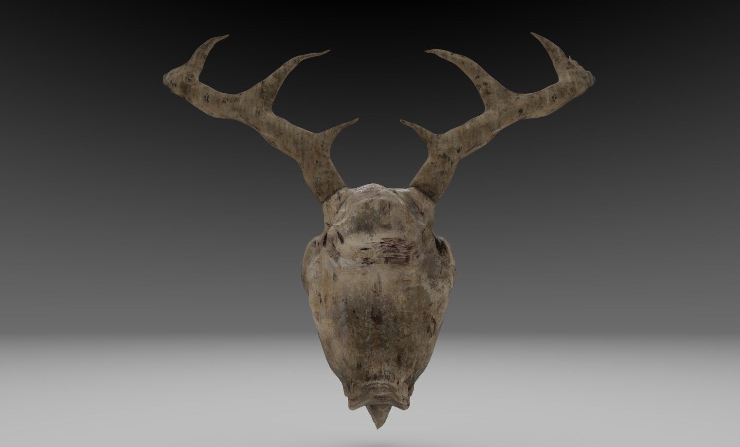 Deer Skull Low Poly 3D Model with Imperfections free VR / AR / low-poly ...