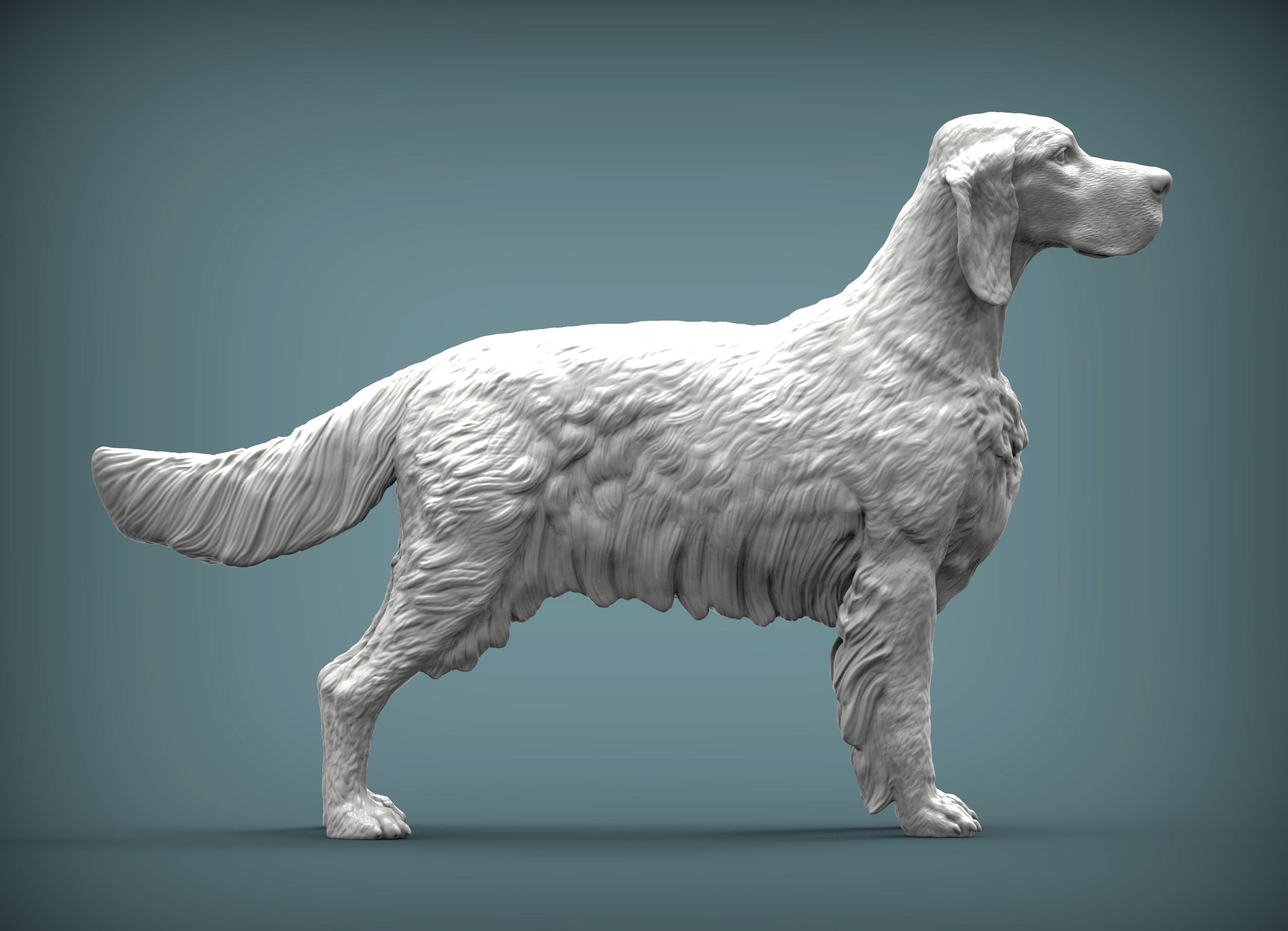 English Setter 3D model 3D printable | CGTrader