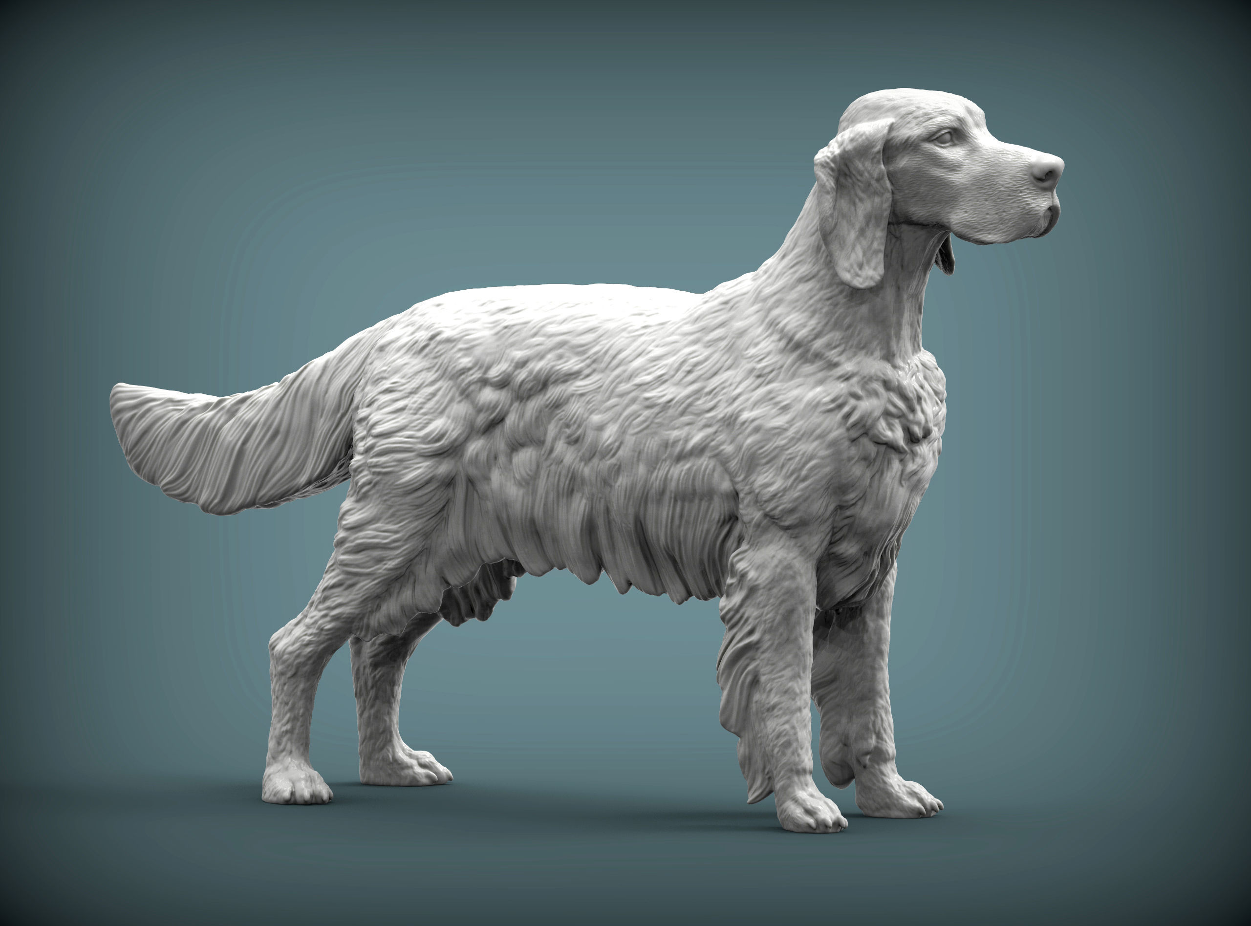 English Setter 3D model 3D printable | CGTrader