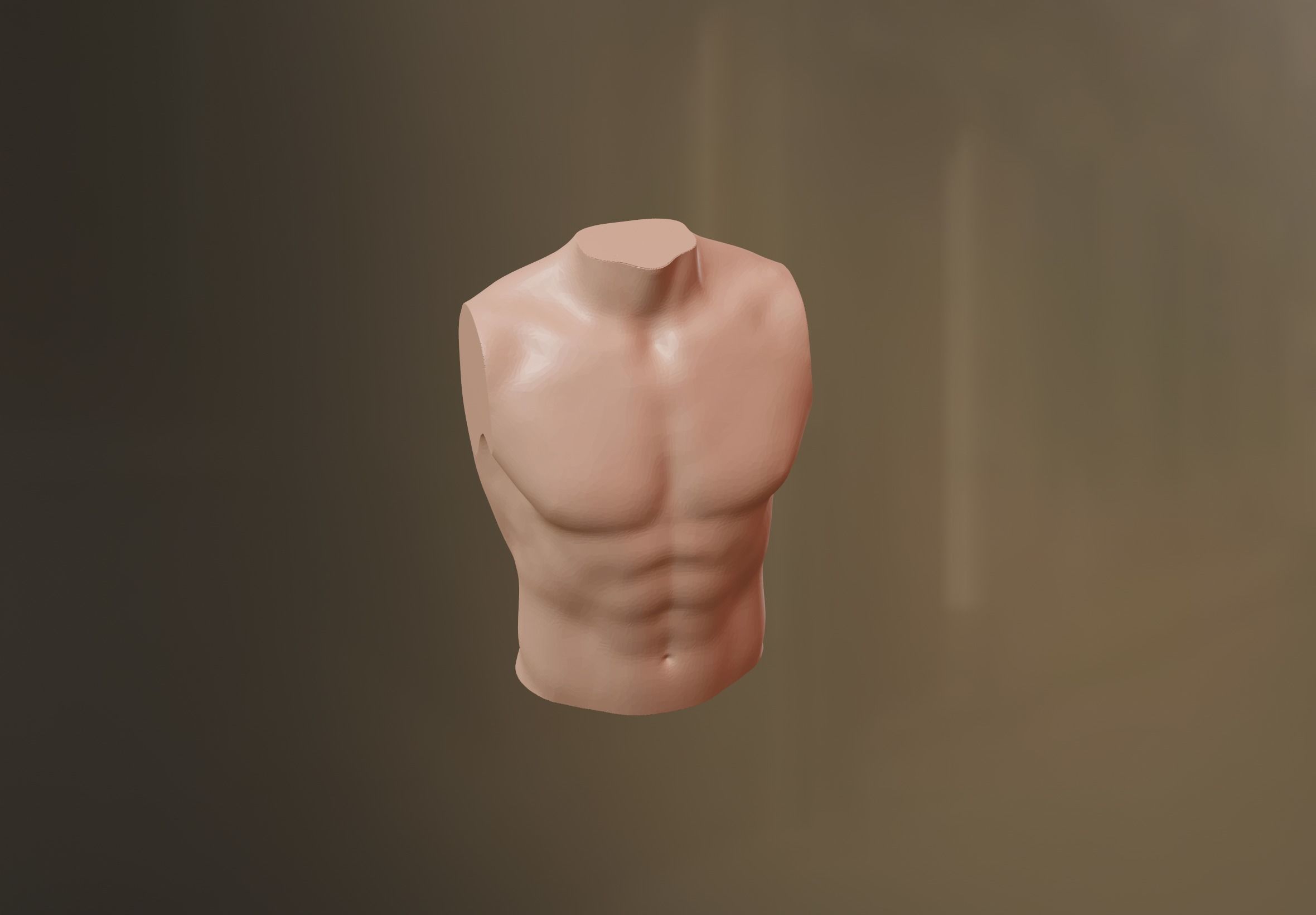 Male Torso 3D model 3D model | CGTrader