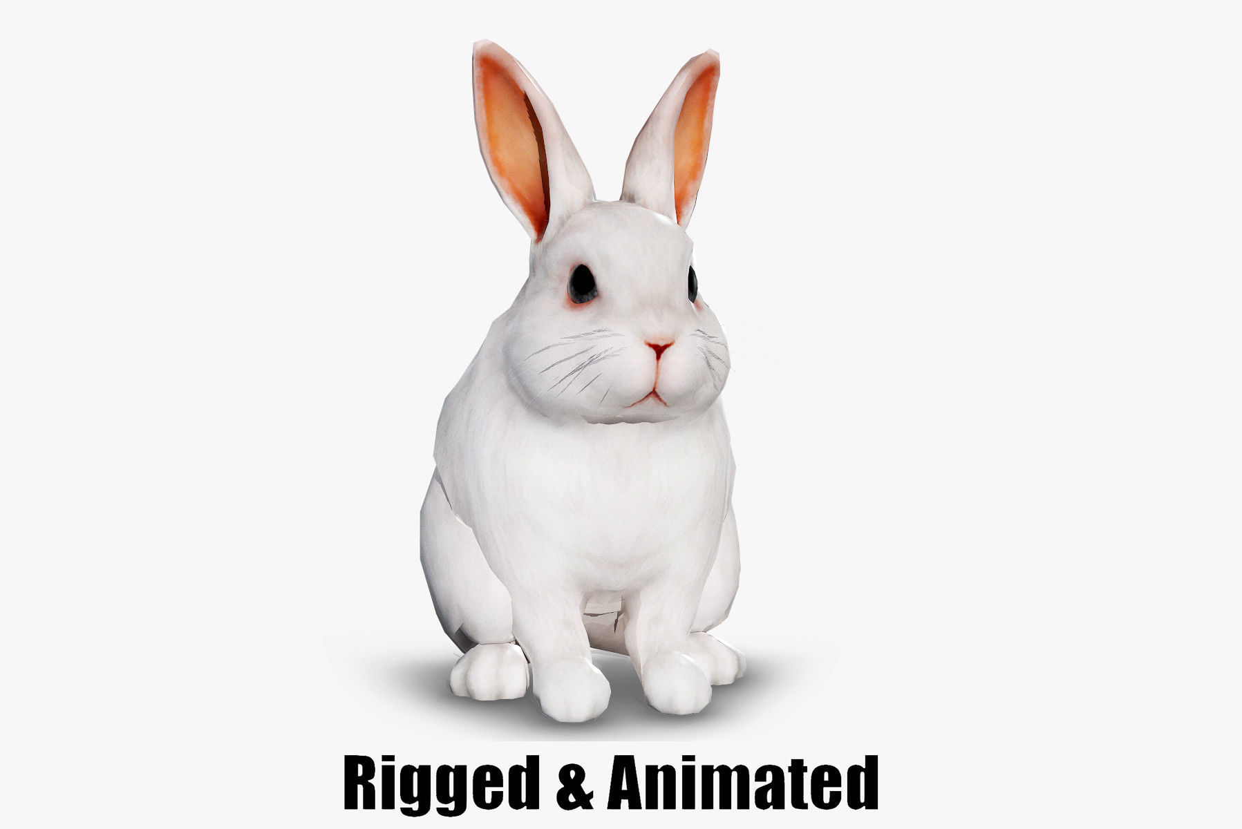 3D model animated white rabbit VR / AR / low-poly | CGTrader