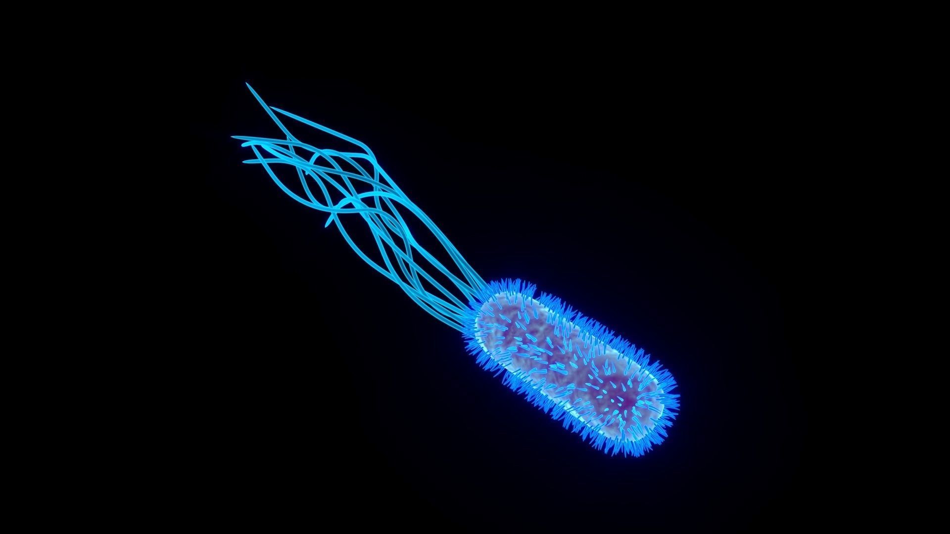 Bacteria 3D model | CGTrader