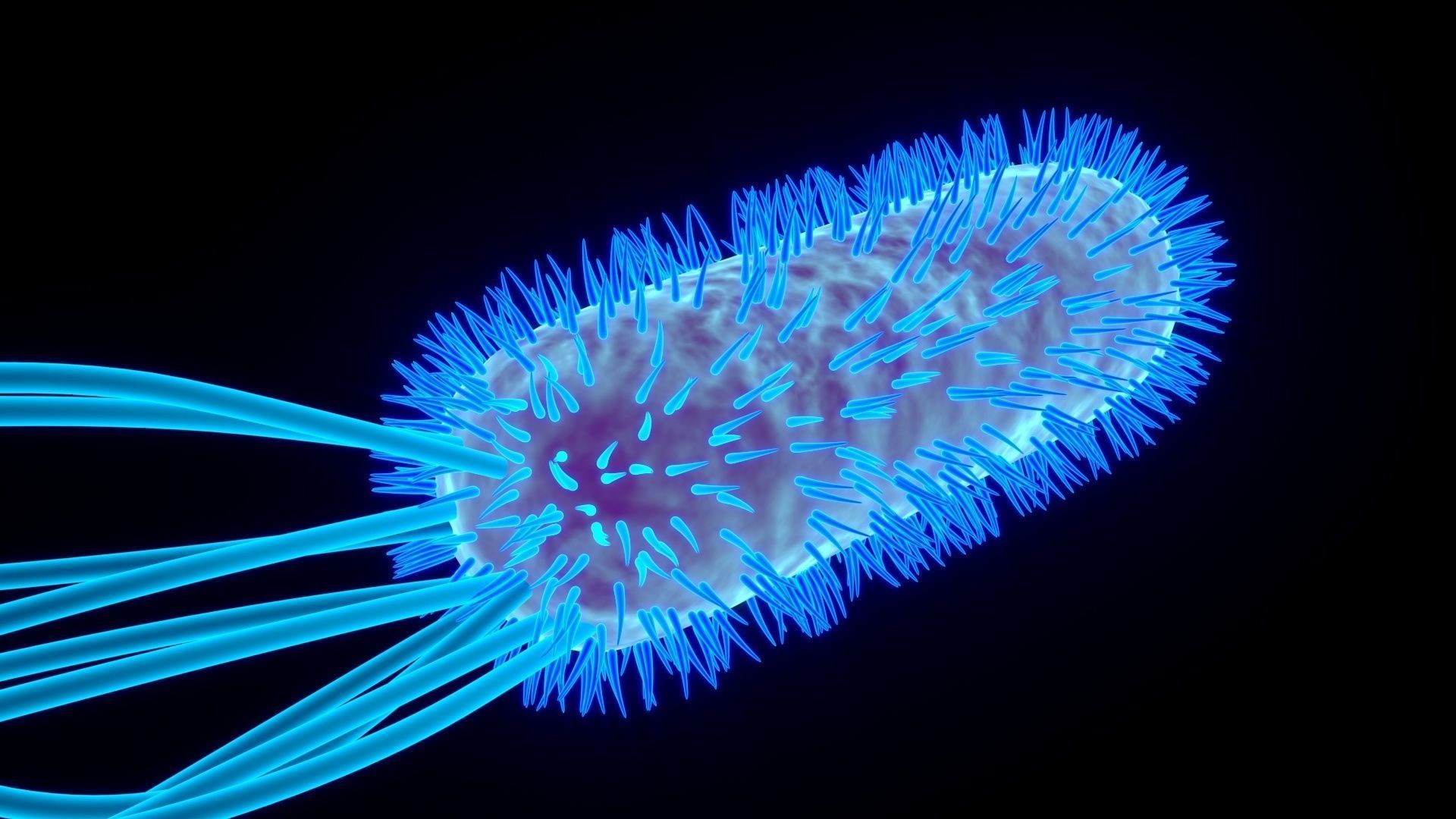 Bacteria 3D model | CGTrader