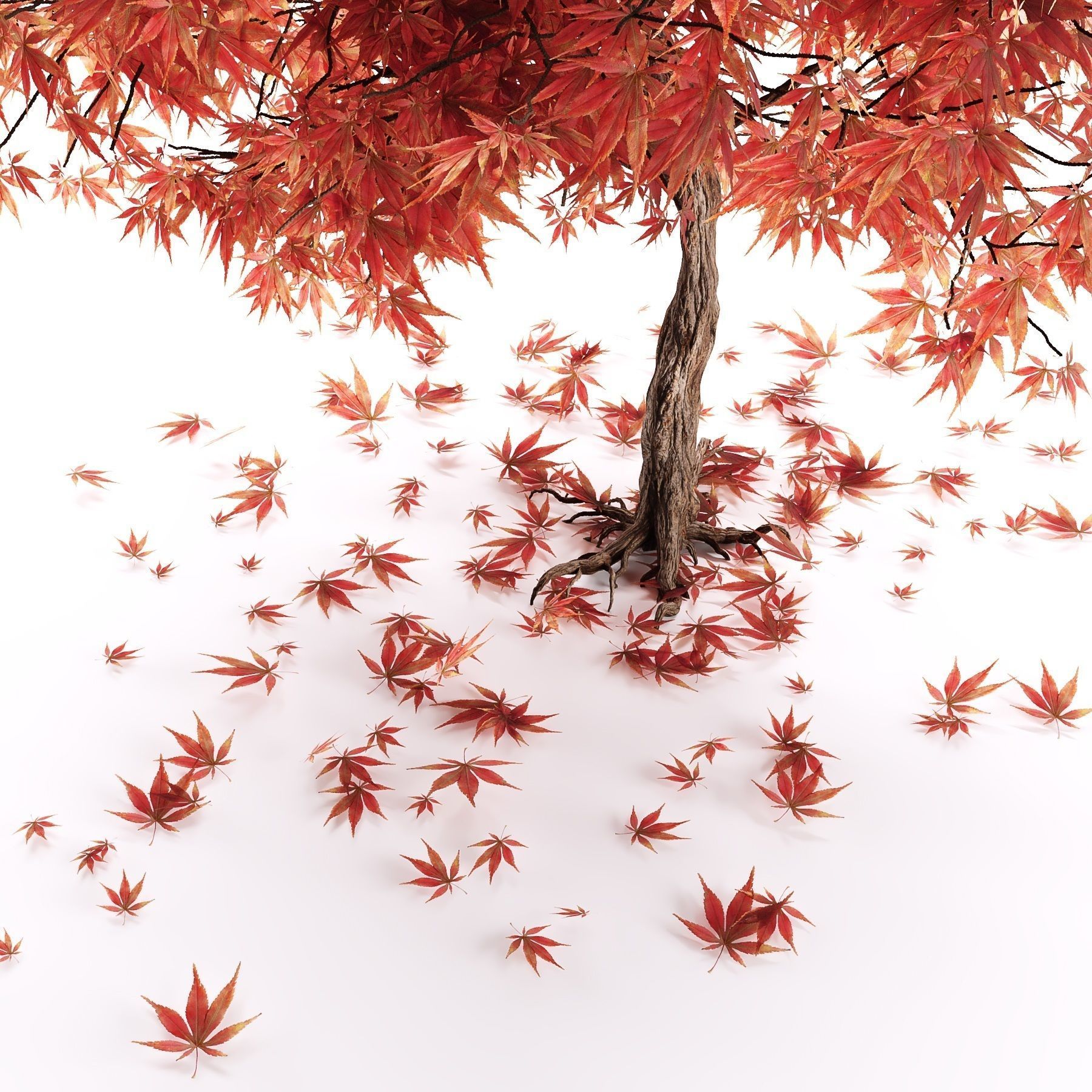 mapletree01 two maple trees 3D model | CGTrader