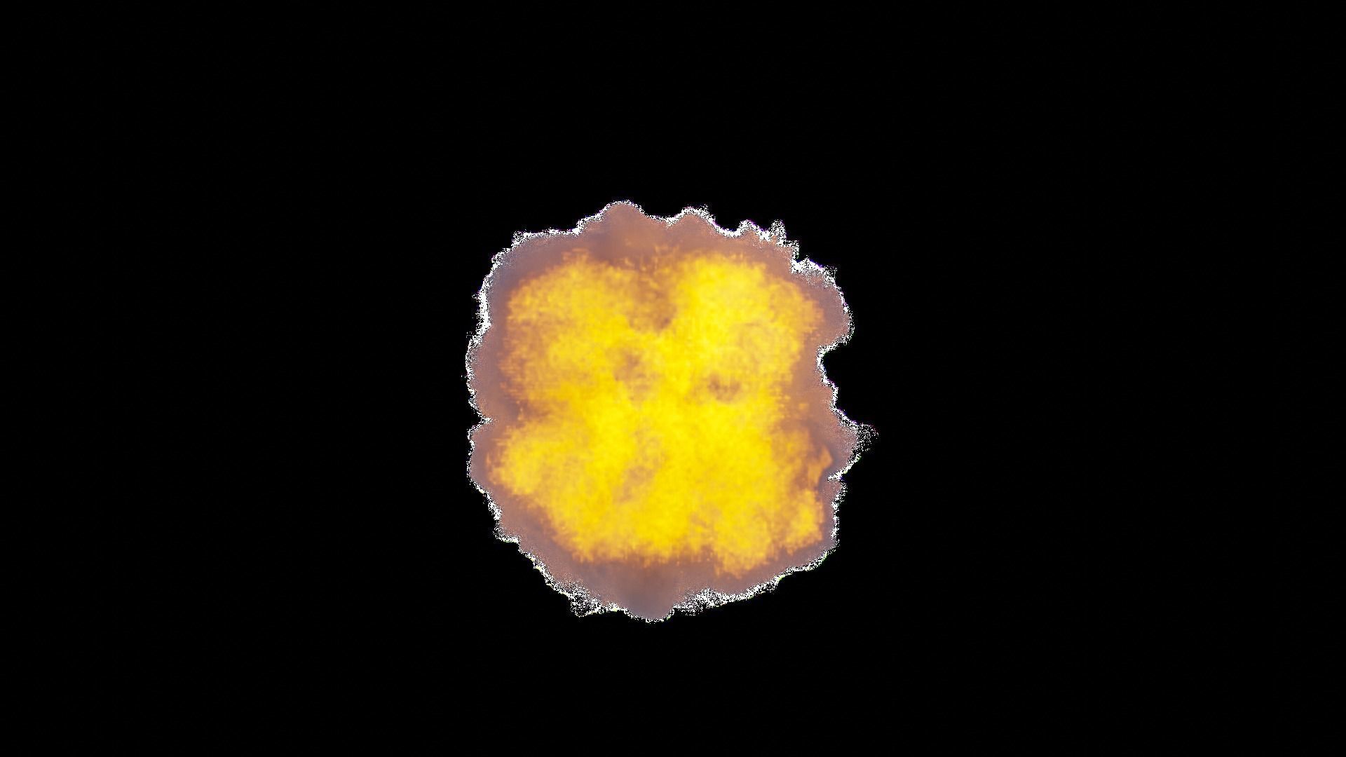 3D model Muzzle Flash High Detail Simulation VDB VR / AR / low-poly | CGTrader