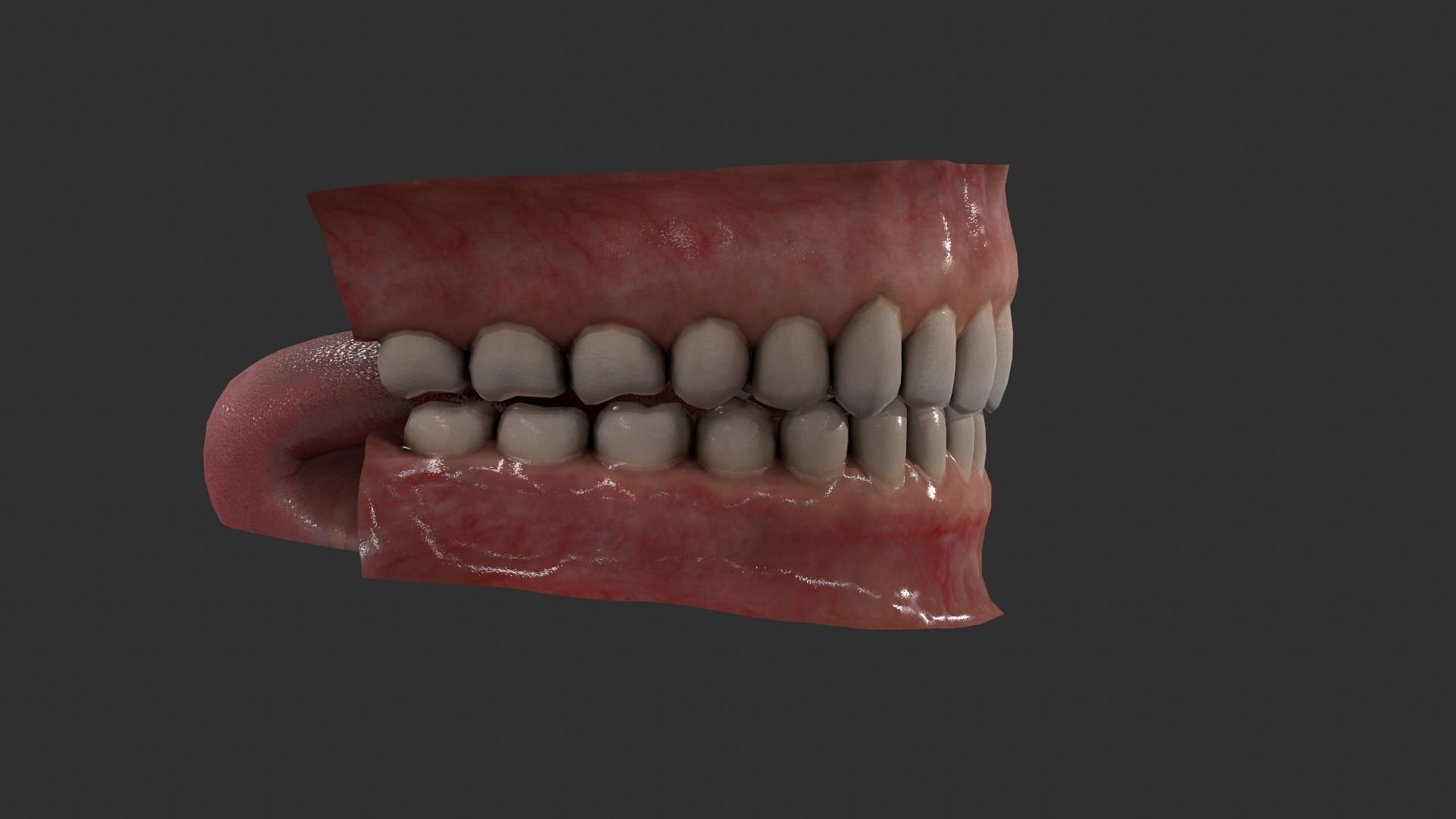 3D model Realistic Human Mouth VR / AR / low-poly | CGTrader