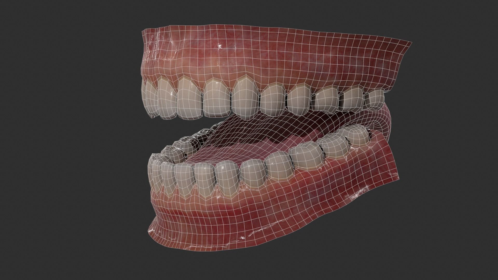 3D model Realistic Human Mouth VR / AR / low-poly | CGTrader