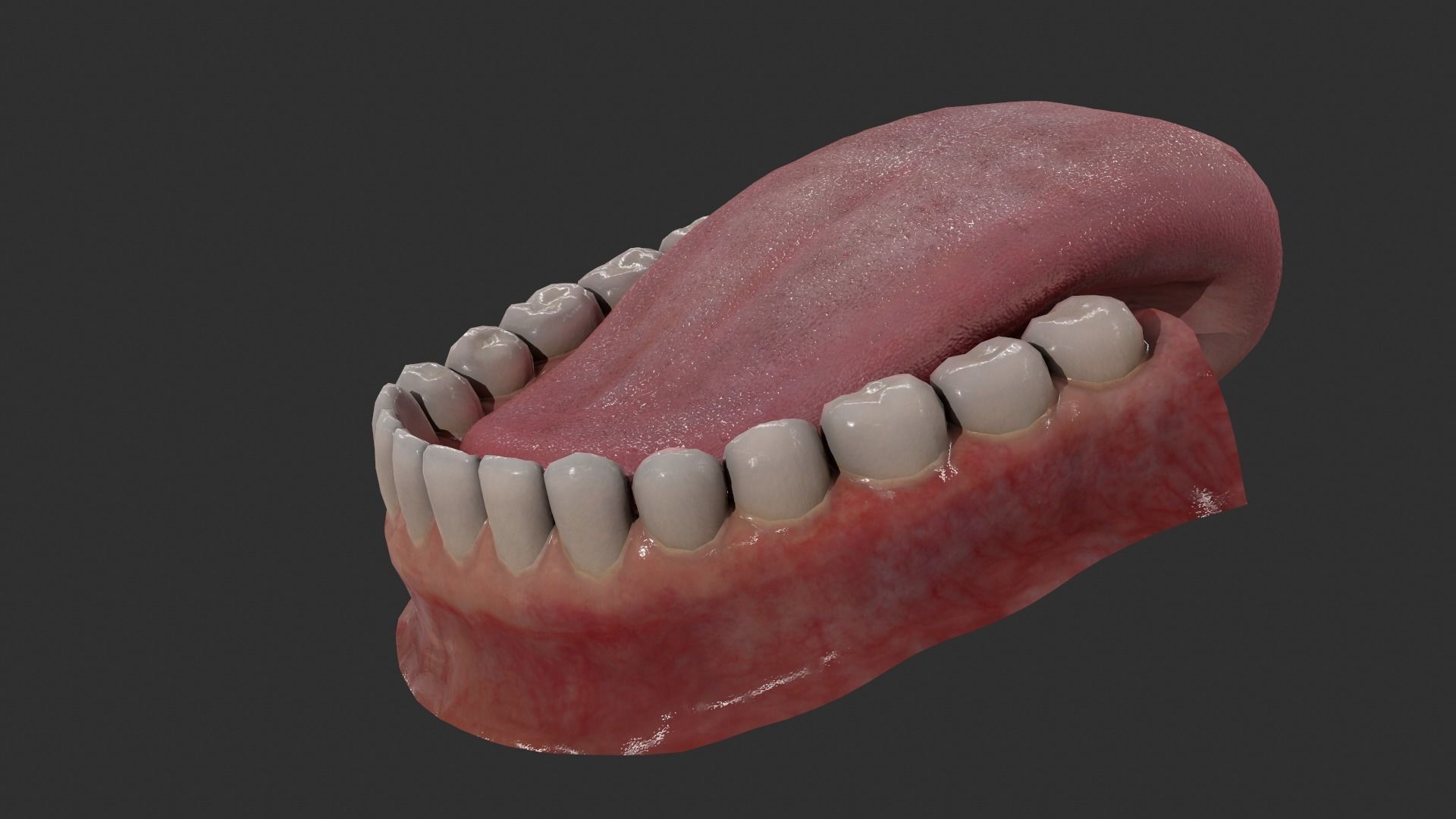 3D model Realistic Human Mouth VR / AR / low-poly | CGTrader