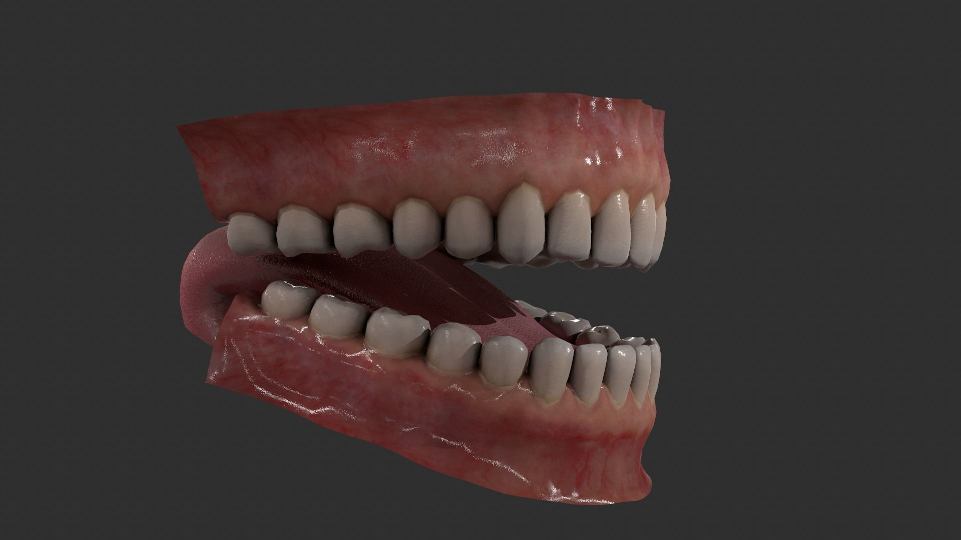 3D model Realistic Human Mouth VR / AR / low-poly | CGTrader