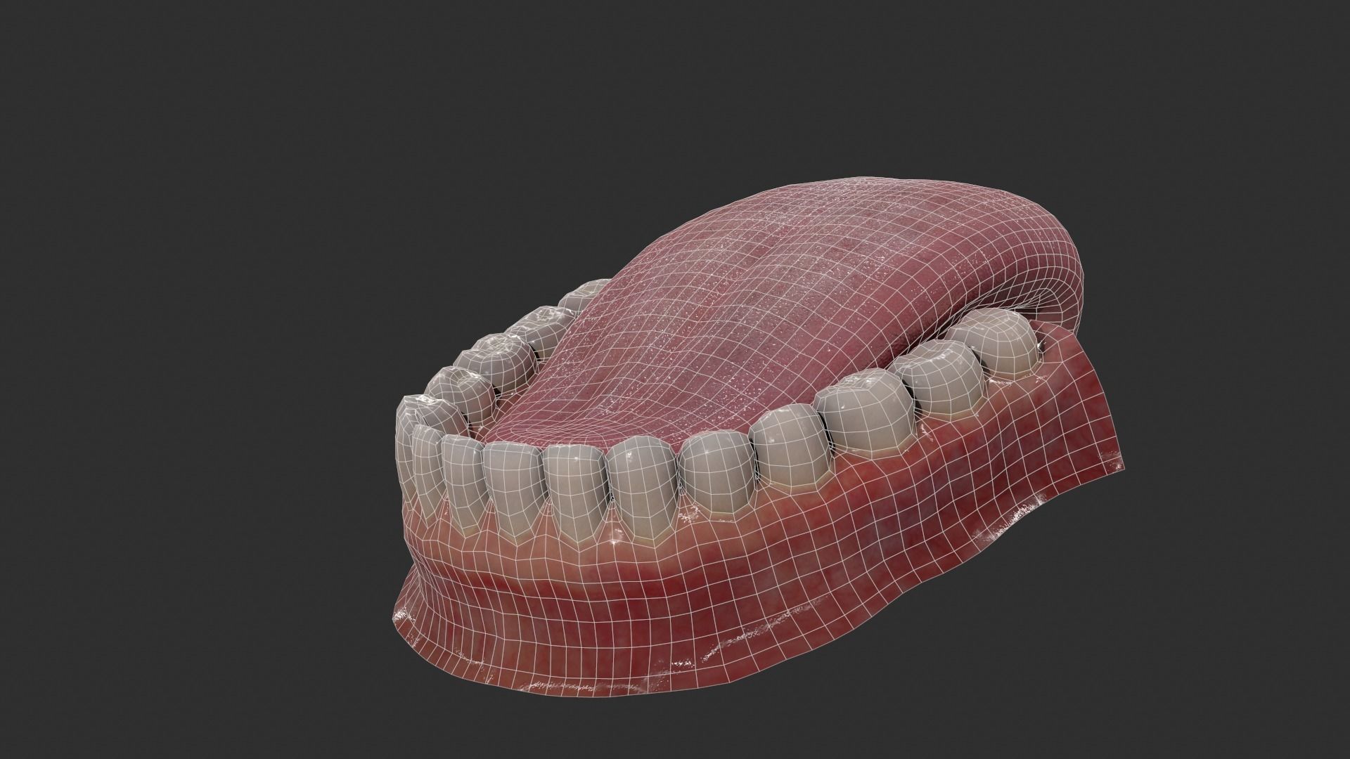 3D model Realistic Human Mouth VR / AR / low-poly | CGTrader