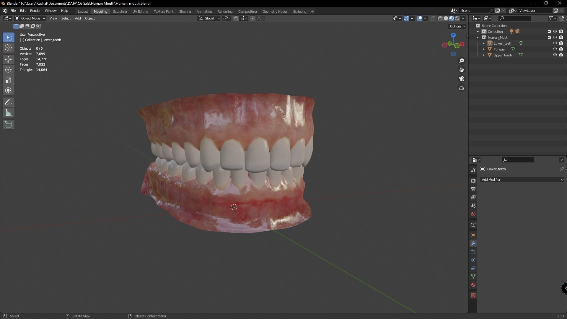 3D model Realistic Human Mouth VR / AR / low-poly | CGTrader