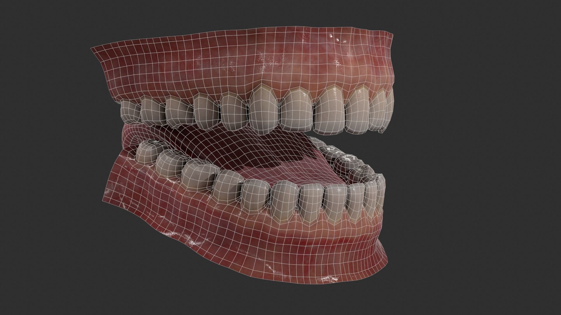3D model Realistic Human Mouth VR / AR / low-poly | CGTrader