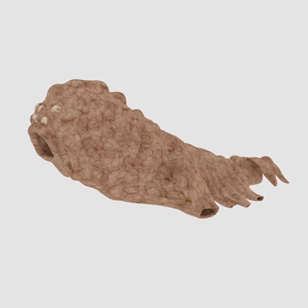 MONSTER creature free 3D model | CGTrader