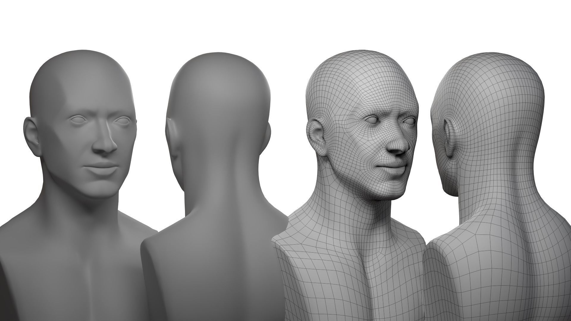 Male Head free 3D model | CGTrader