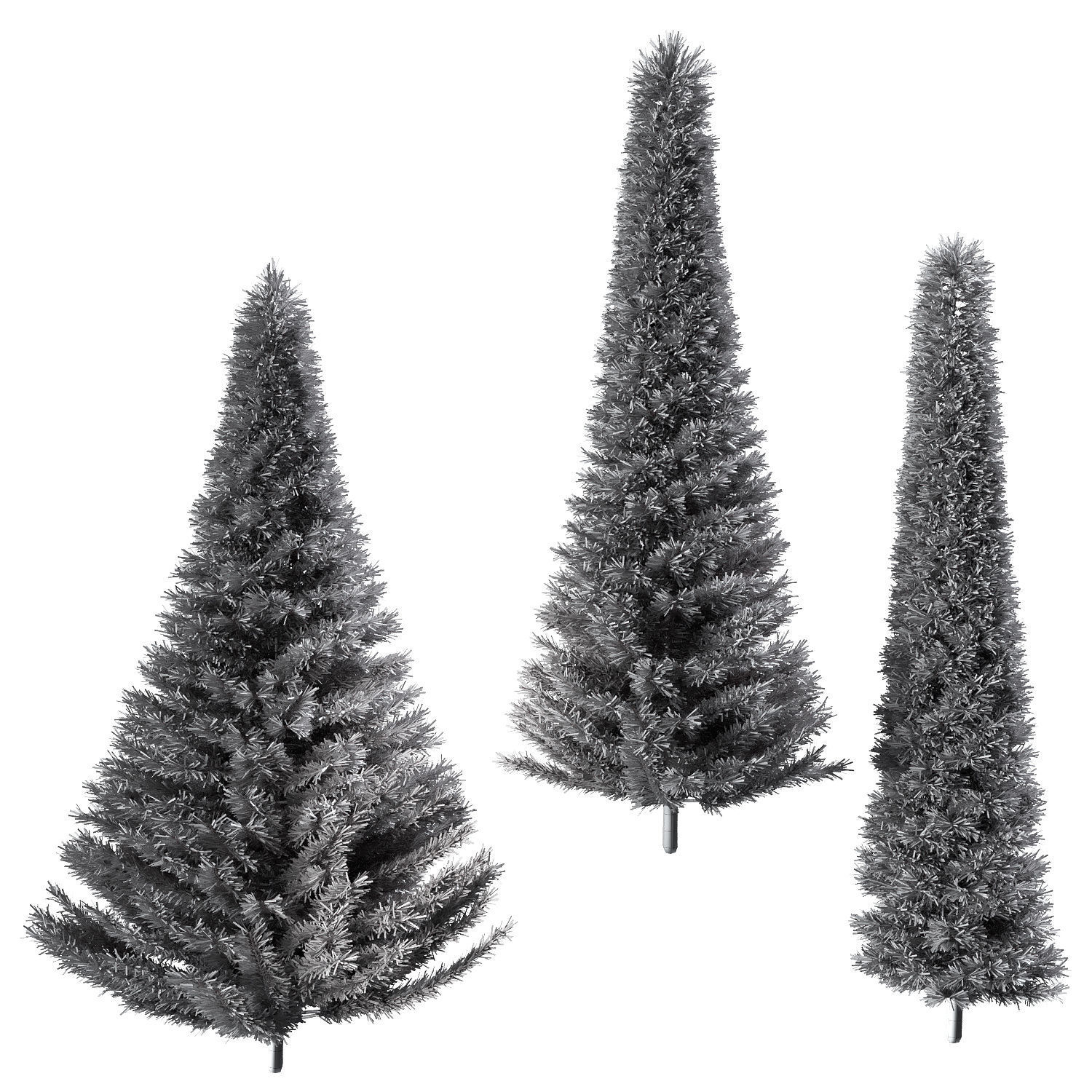 A set of fir trees of different diameters 3D model | CGTrader