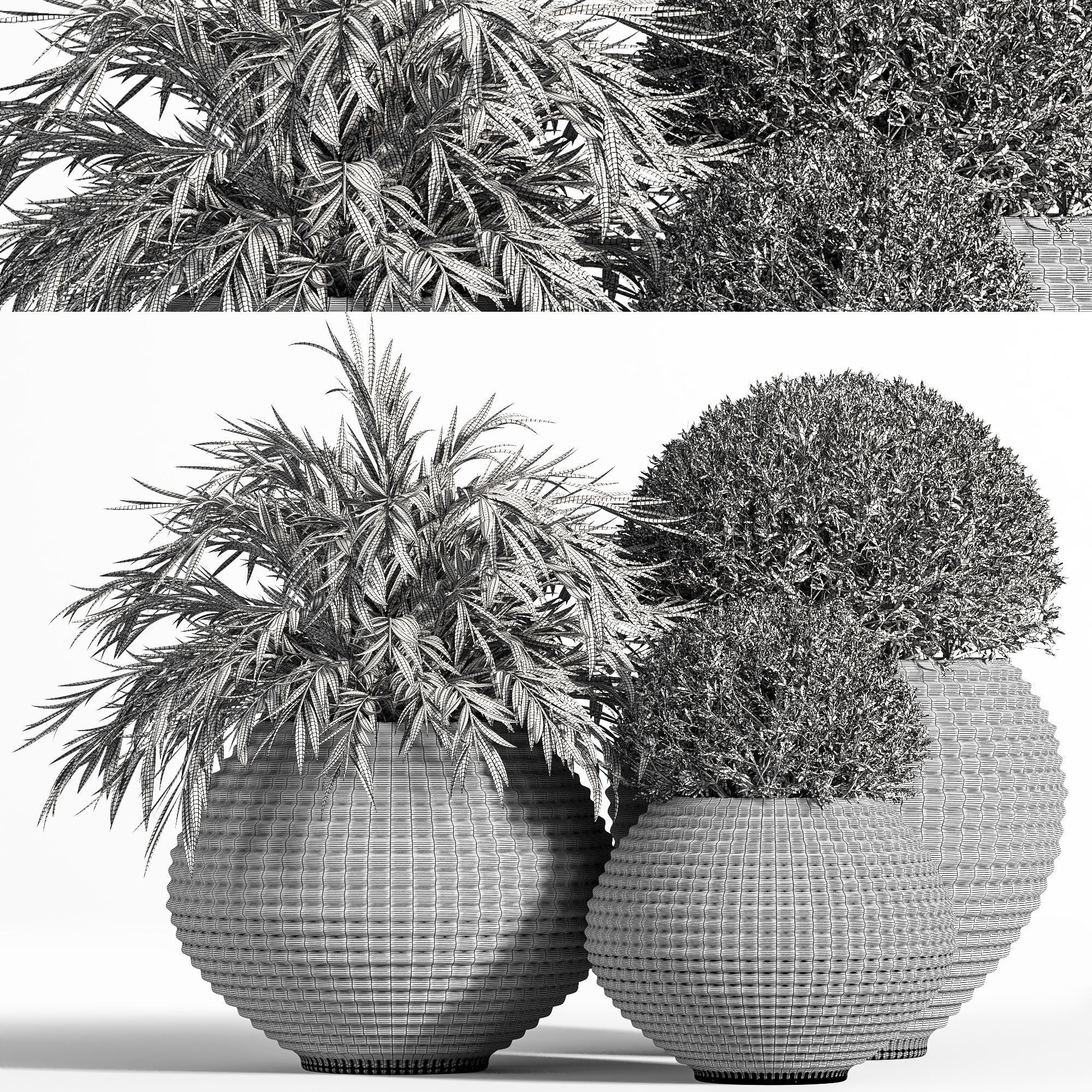 Outdoor Plants tree 07 3D model | CGTrader