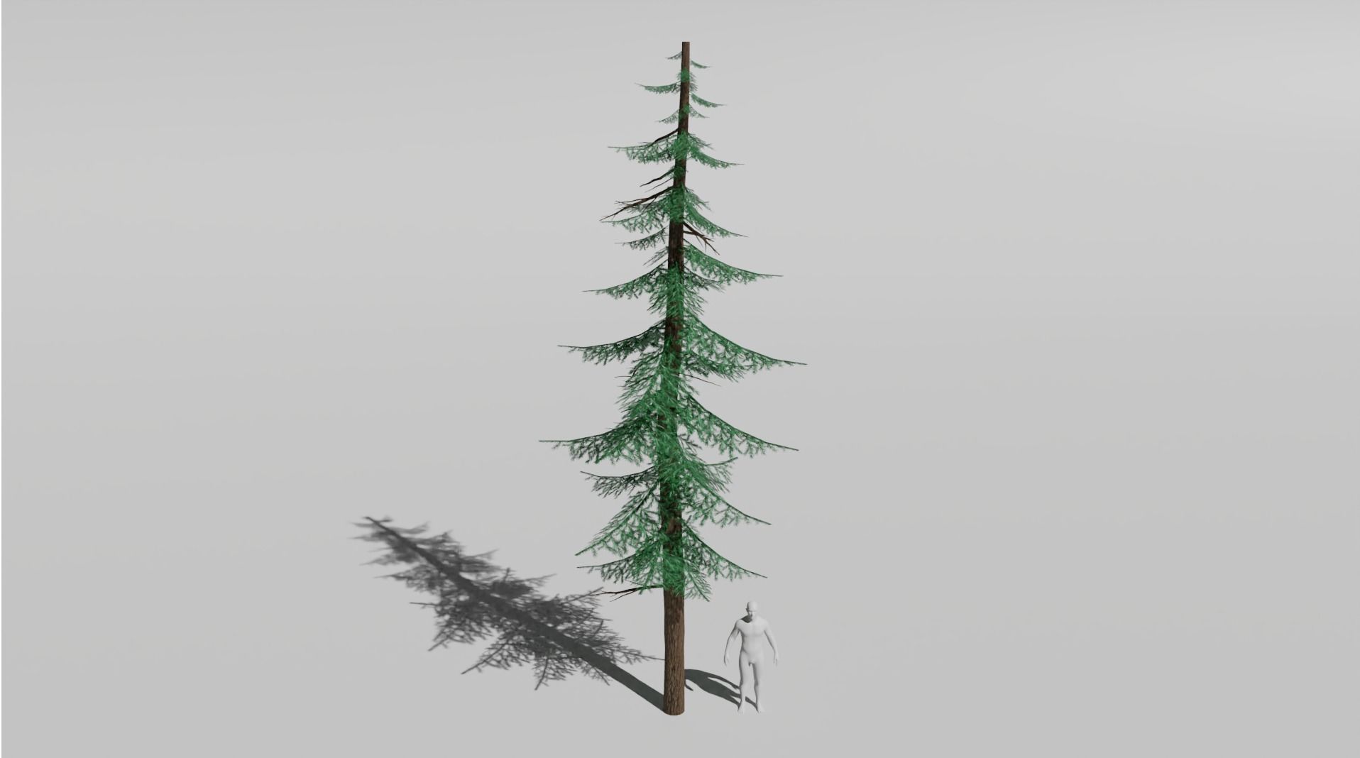 3D model Pine Trees - 3D Pack High Quality Low-Poly Models VR / AR ...