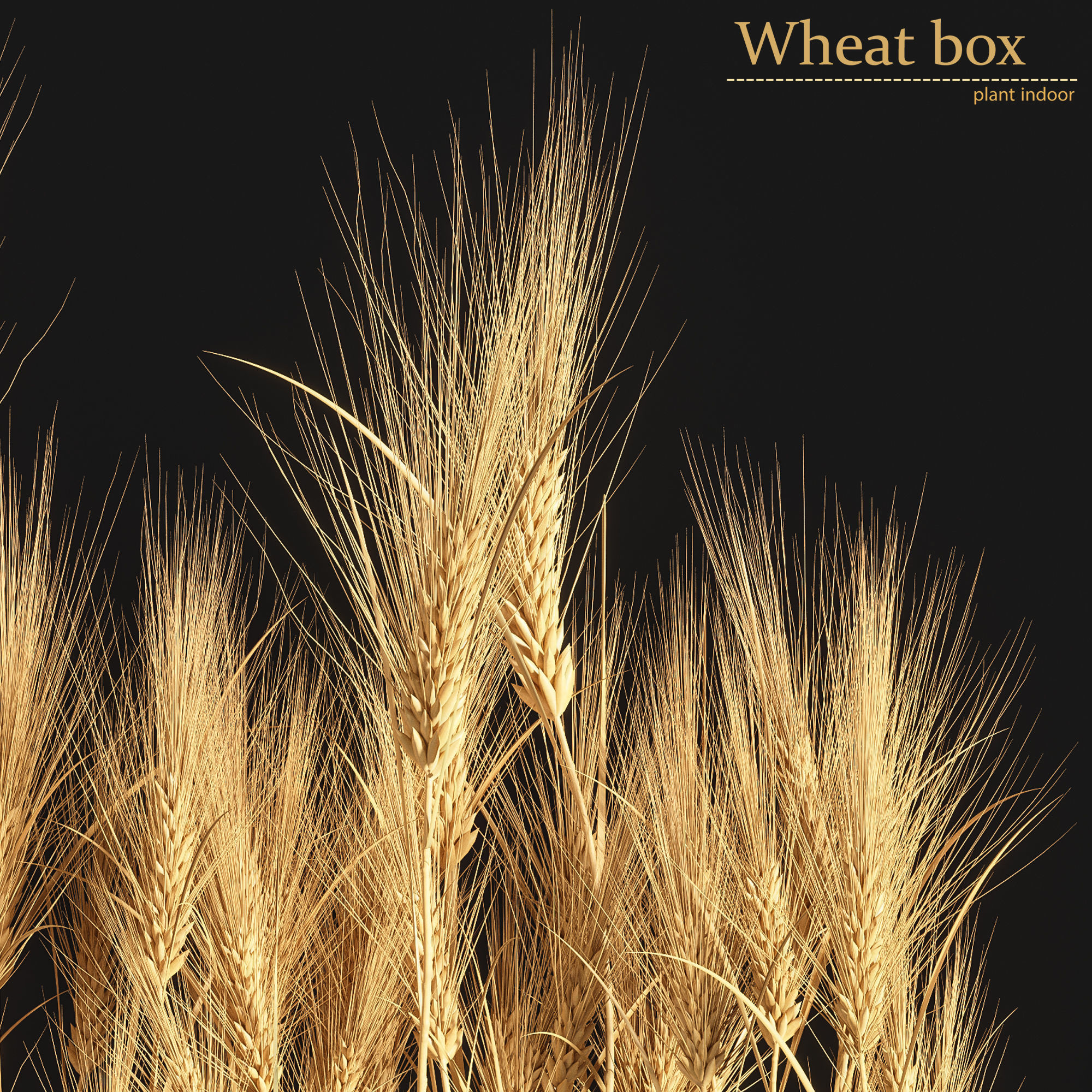Wheat box 3D model | CGTrader