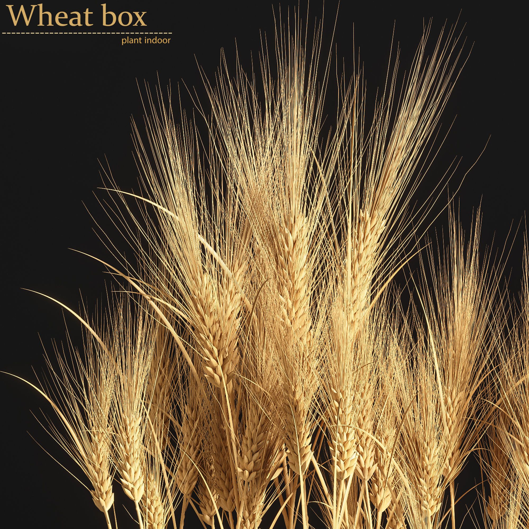 Wheat box 3D model | CGTrader