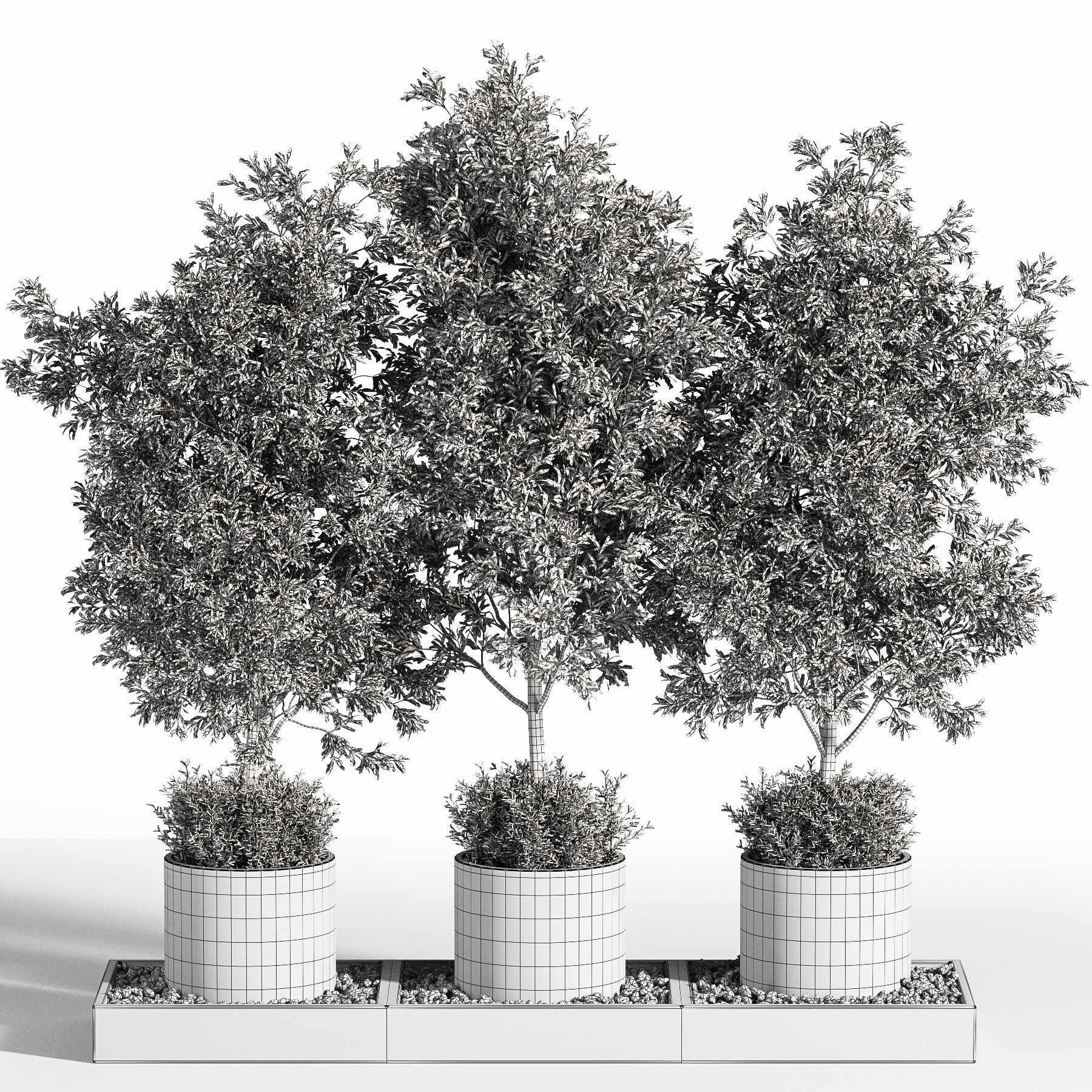 Outdoor Plants tree 11 3D model | CGTrader
