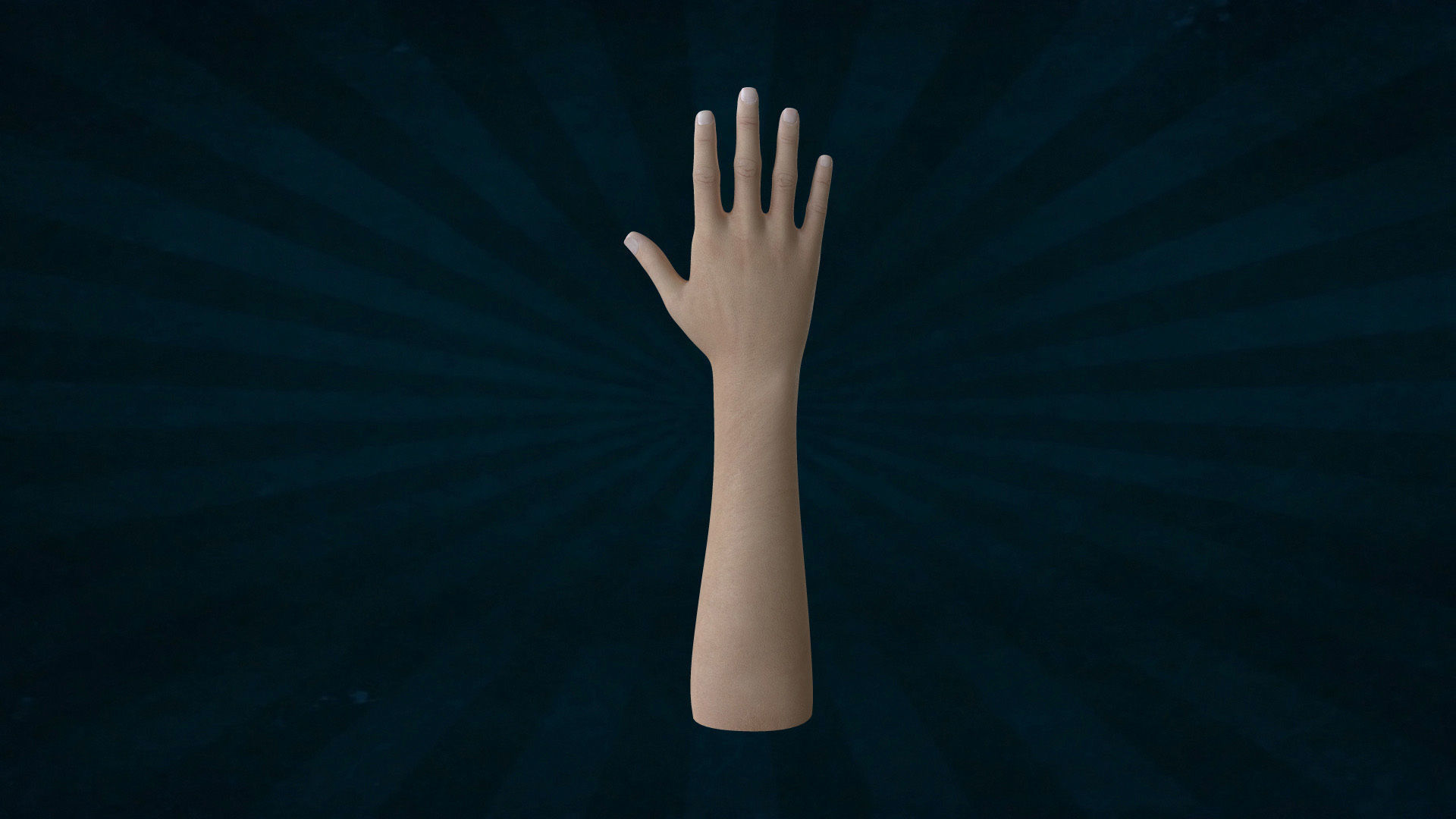 HAND-044 Counting Animation 3D model animated rigged | CGTrader