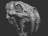 Sabertooth Skull 3D model 3D printable | CGTrader