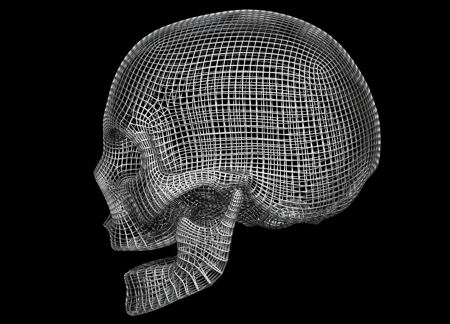 Skull Wire 3D model | CGTrader