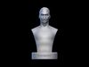 Zlatan Ibrahimovic Bust model 3D model 3D printable | CGTrader