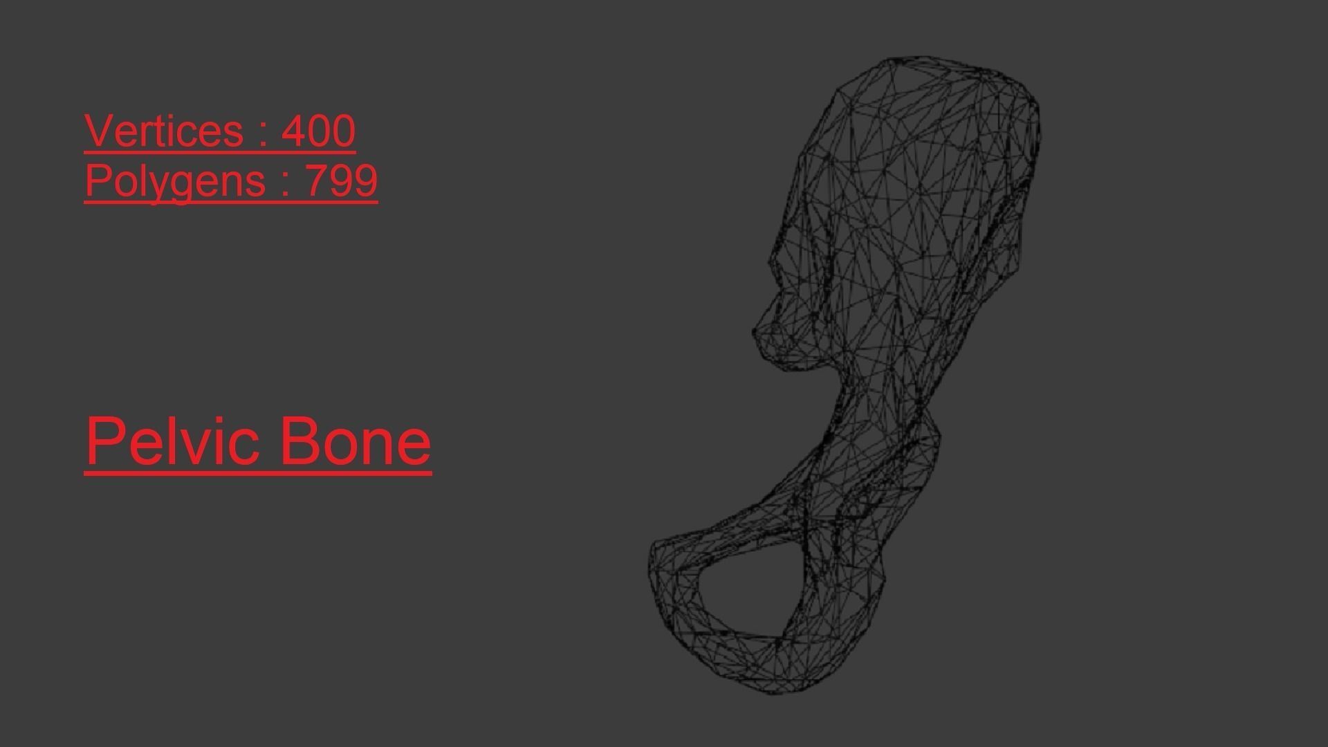 SKELETON 3D MODELS - AR - VR - GAME READY 3D model | CGTrader