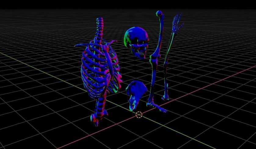 SKELETON 3D MODELS - AR - VR - GAME READY 3D model | CGTrader