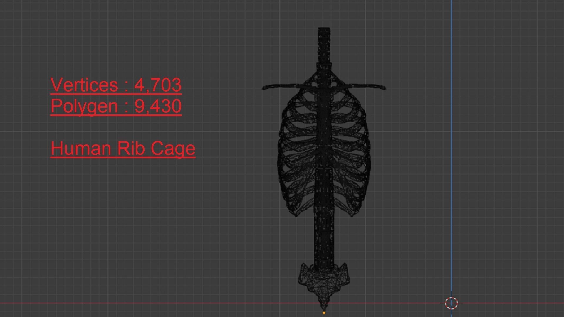 SKELETON 3D MODELS - AR - VR - GAME READY 3D model | CGTrader