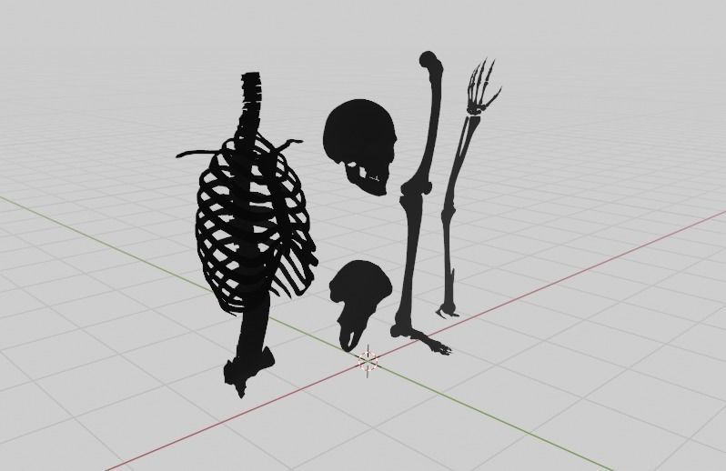 SKELETON 3D MODELS - AR - VR - GAME READY 3D model | CGTrader